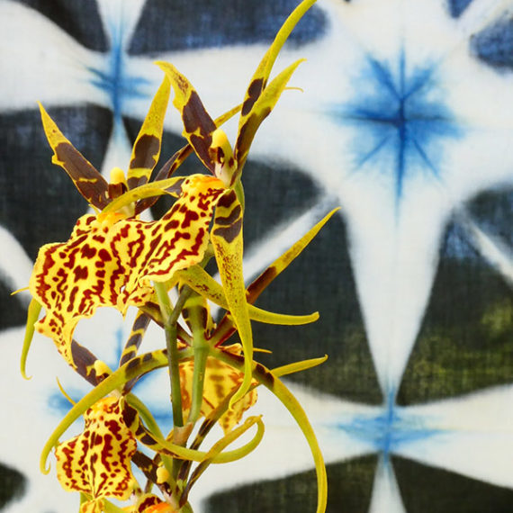 Home - Jane Callender, Indigo Shibori Specialist